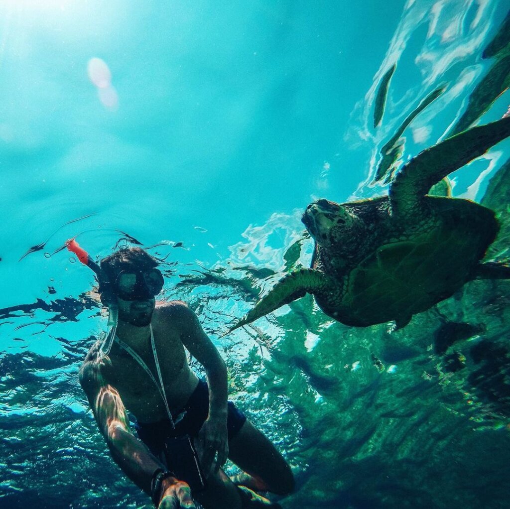 Tips How to Go To Gili from Bali - Read Before Go - Bali Ventur - Bali ...
